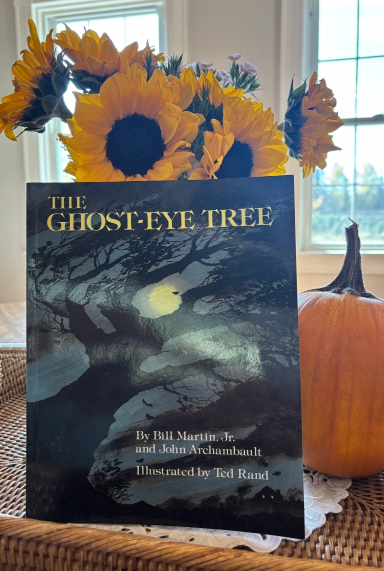 “It’s Only a Fooly Inside Your Head” – Jennifer Shaw